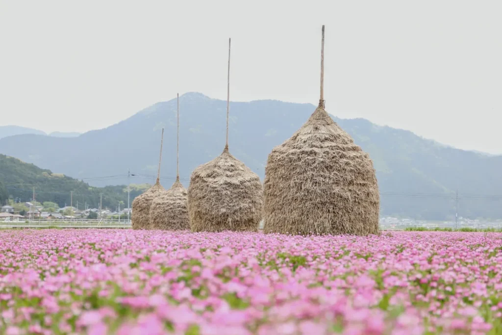 [2026/5 Updated] Ehime Ozu Event Calendar & Map! Ozu Castle Golden Week ...